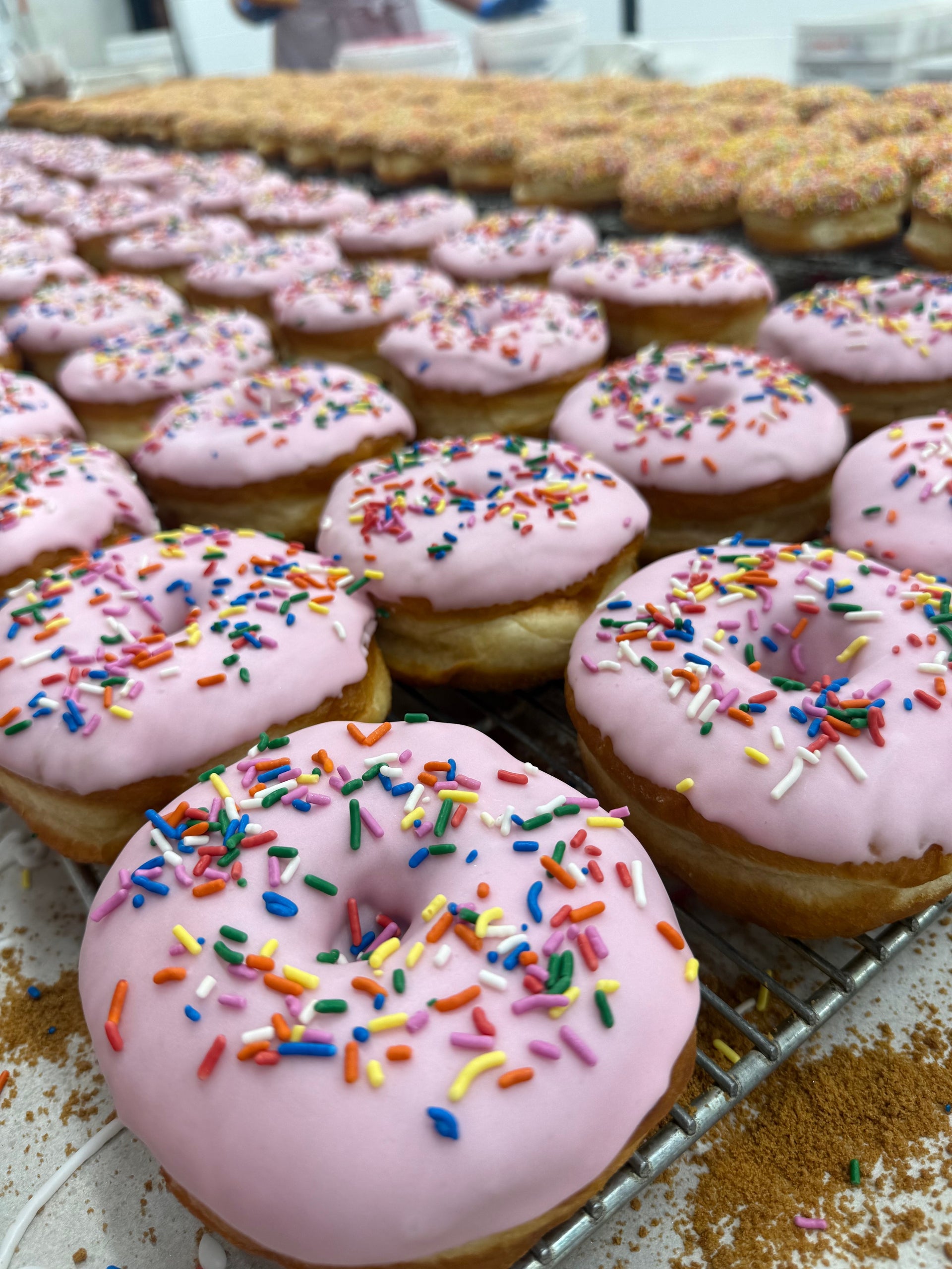 Doboy Stockists – Doboy Donuts
